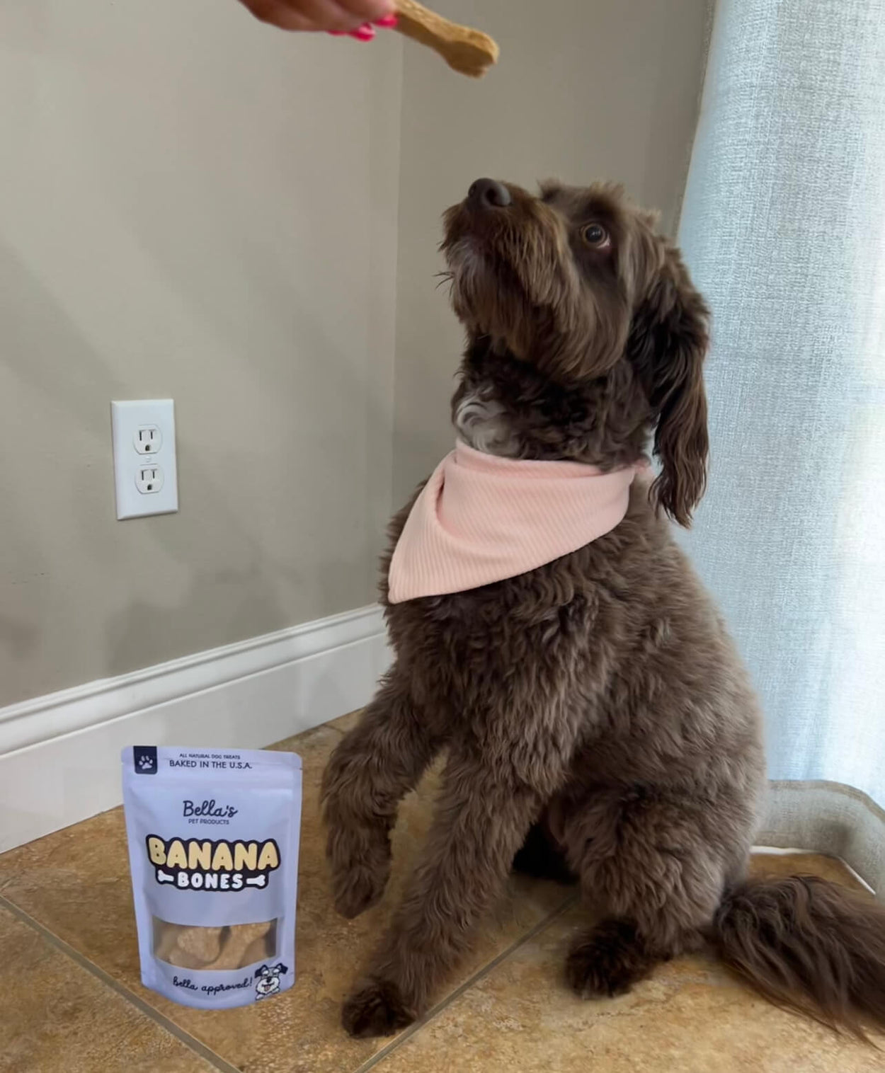 Bella's Pet Products | Pet Treats You Can Trust